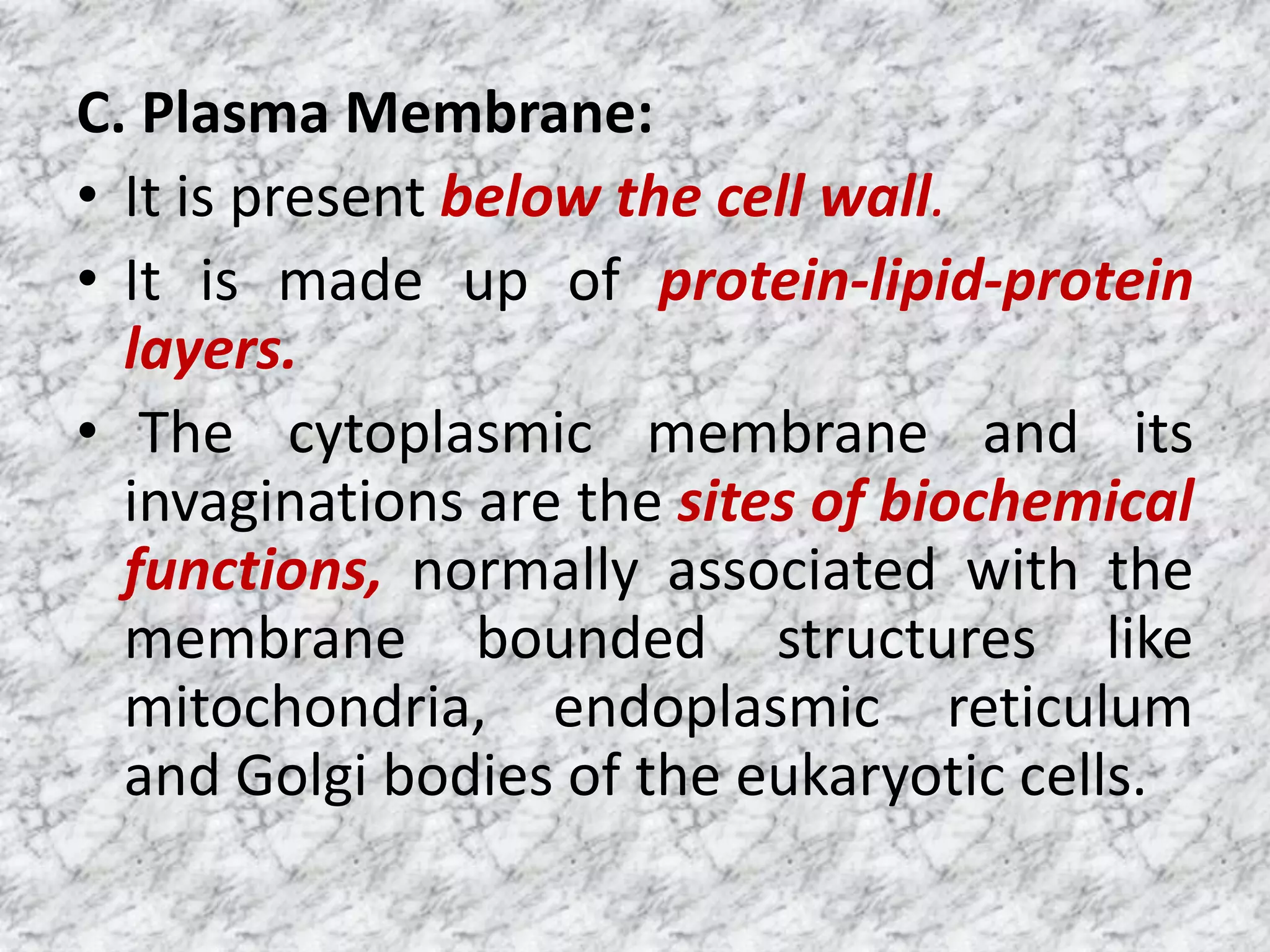 Prokaryotic and Eukaryotic Algal cell structure | PPTX