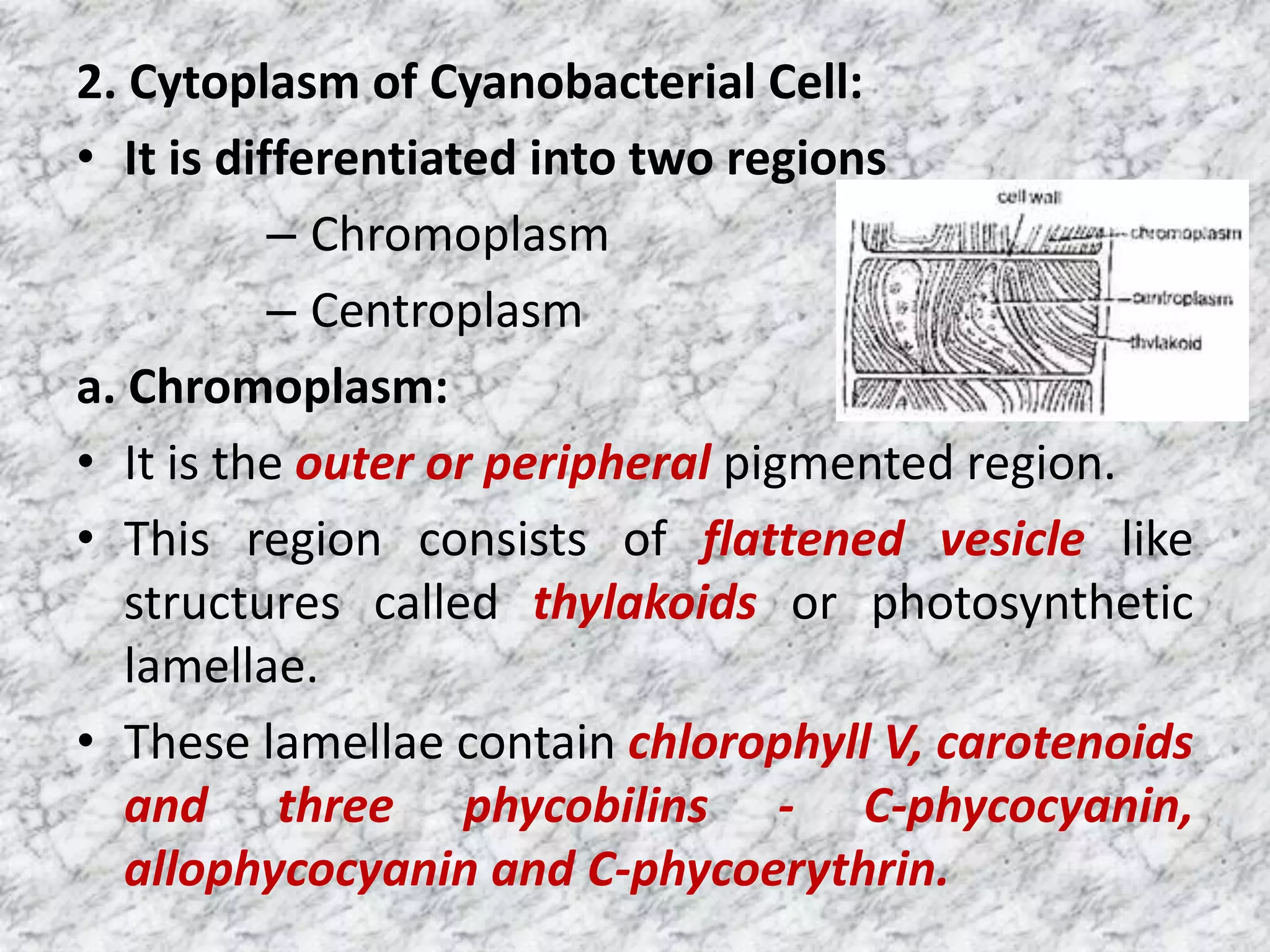 Prokaryotic and Eukaryotic Algal cell structure | PPTX