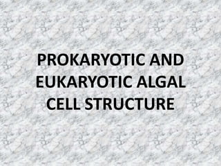 Prokaryotic and Eukaryotic Algal cell structure | PPTX