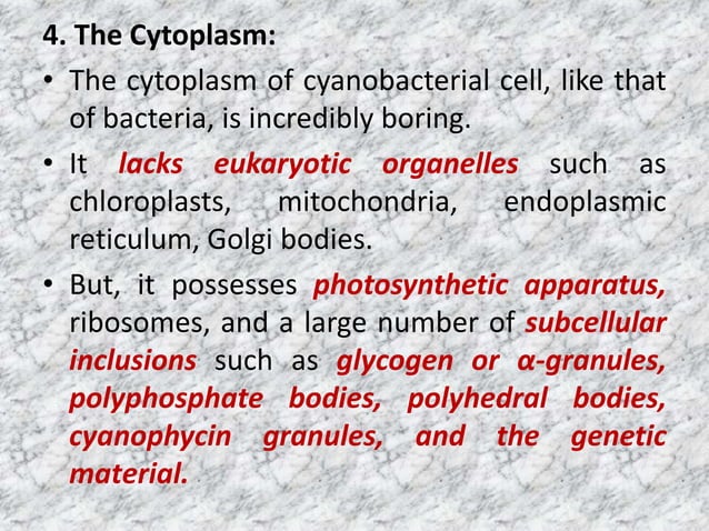 Prokaryotic and Eukaryotic Algal cell structure | PPTX | Biological ...