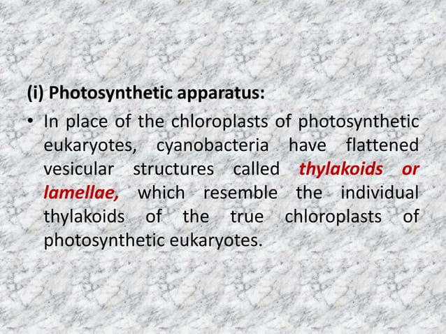 Prokaryotic and Eukaryotic Algal cell structure | PPTX | Biological ...