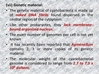 Prokaryotic and Eukaryotic Algal cell structure | PPTX