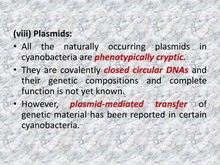 Prokaryotic and Eukaryotic Algal cell structure | PPTX | Biological ...