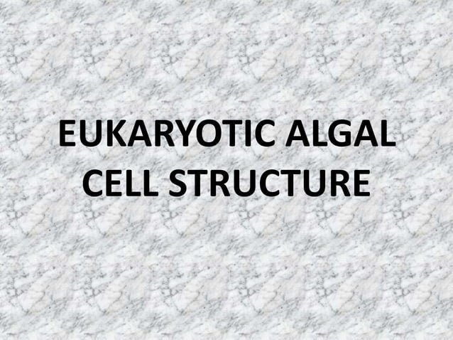Prokaryotic and Eukaryotic Algal cell structure | PPTX | Biological ...