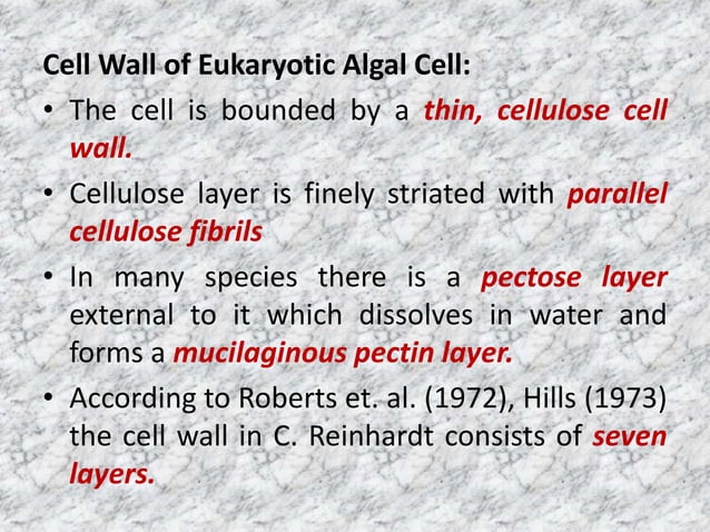 Prokaryotic and Eukaryotic Algal cell structure | PPTX | Biological ...