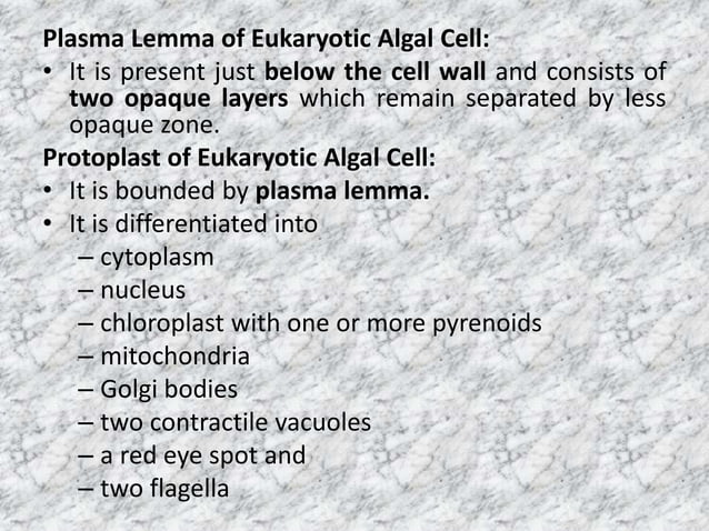 Prokaryotic and Eukaryotic Algal cell structure | PPTX | Biological ...