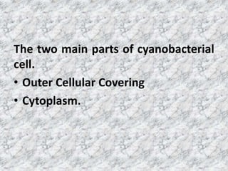 Prokaryotic and Eukaryotic Algal cell structure | PPTX
