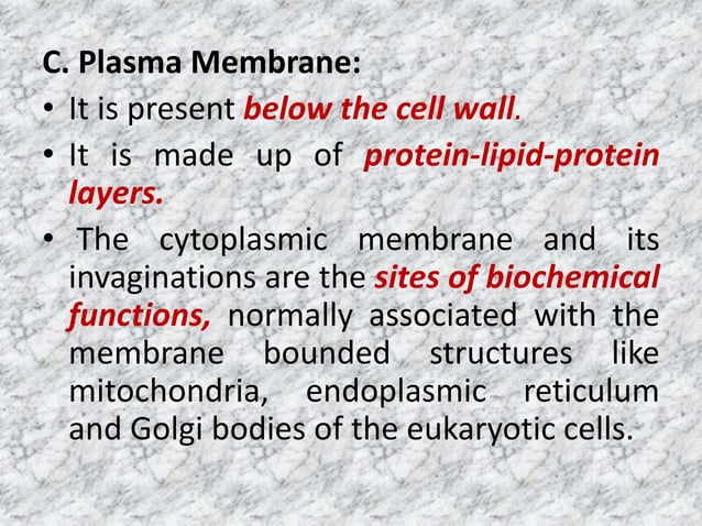 Prokaryotic and Eukaryotic Algal cell structure | PPTX | Biological ...