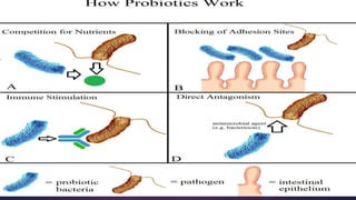 Pro and prebiotics | PPT