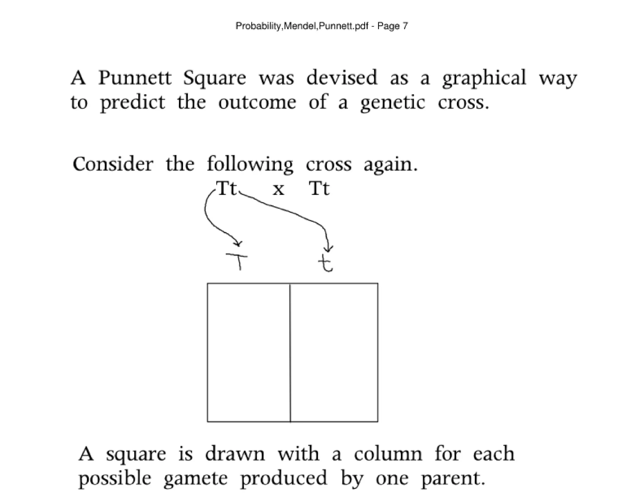 Probability, Mendel and Punnett Square | PDF
