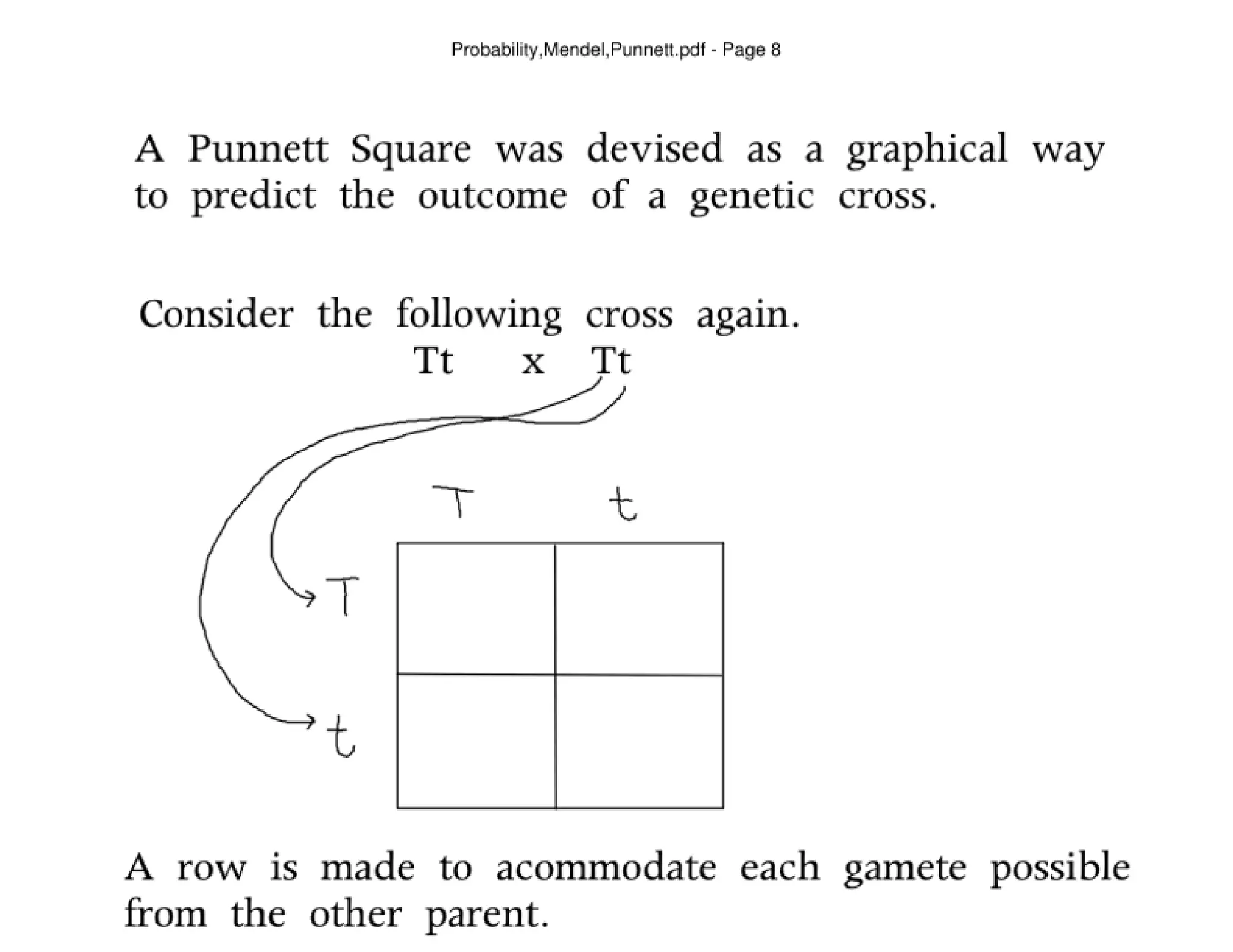 Probability, Mendel and Punnett Square | PDF | Biological Sciences ...