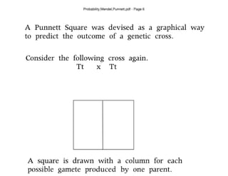 Probability, Mendel and Punnett Square | PDF | Biological Sciences ...