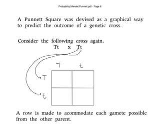 Probability, Mendel and Punnett Square | PDF | Biological Sciences ...