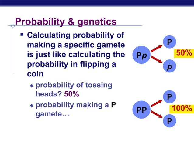 Probability and Genetics | PPTX | Genetics | Science