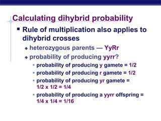 Probability and Genetics | PPTX