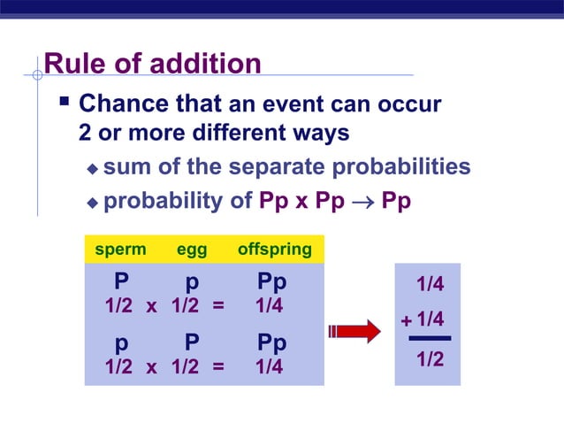Probability and Genetics | PPTX | Genetics | Science