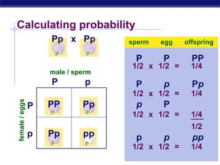 Probability Genetics