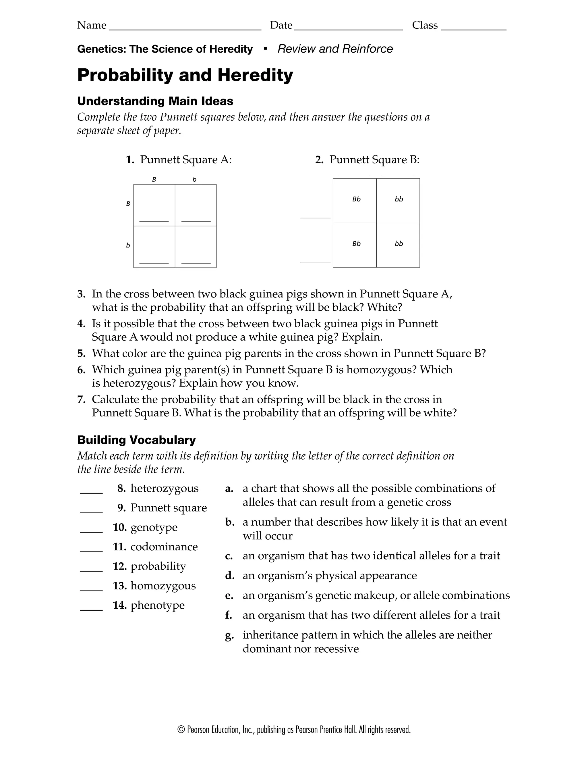 Probability And Heredity | PDF