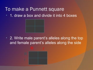 Probability+and+heredity | PPT | Genetics | Science