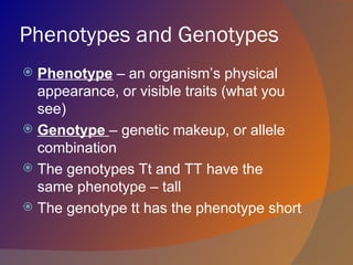 Probability+and+heredity | PPT | Genetics | Science