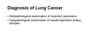 Probability of cancer in pulmonary nodules detected on first screening ...