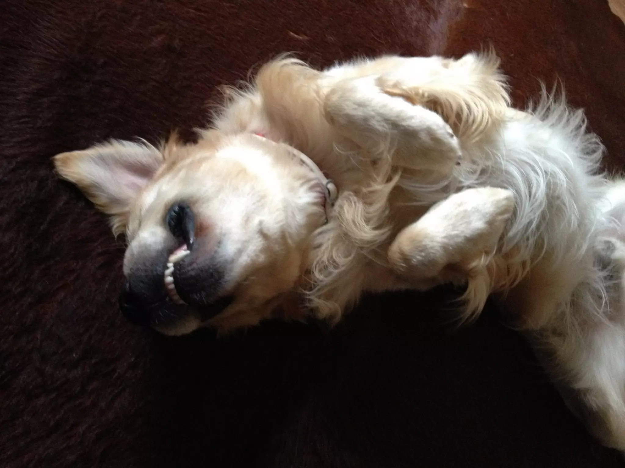 Proba prezentare | PPT