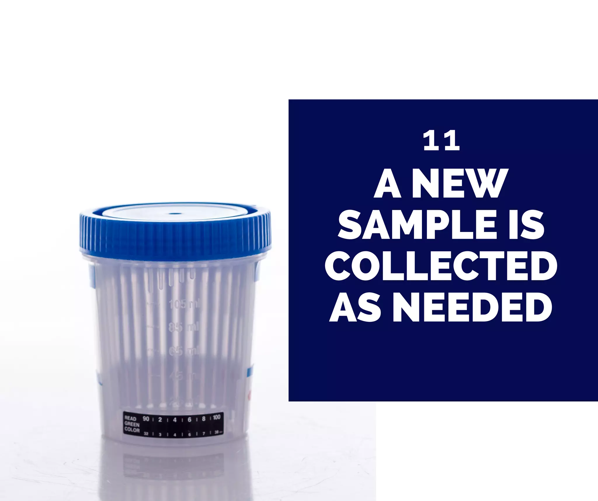 Probation drug testing procedures | PDF | Substance Abuse | Diseases ...