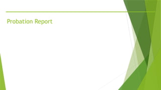 Probation Period Report Example 1 (SWOT) | PPTX