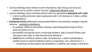 Probavni sustav | PPSX