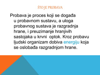 Probavni sustav danijel d. | PPTX