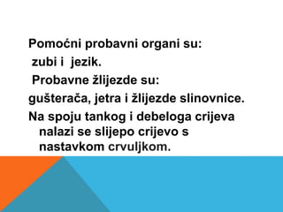 Probavni sustav danijel d. | PPTX