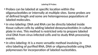 Comprehensive Overview of DNA and RNA Probe Labeling Techniques and ...