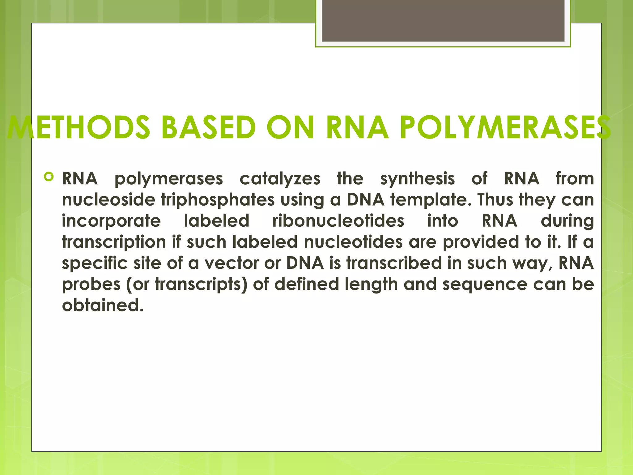 Probe labeling | PPT