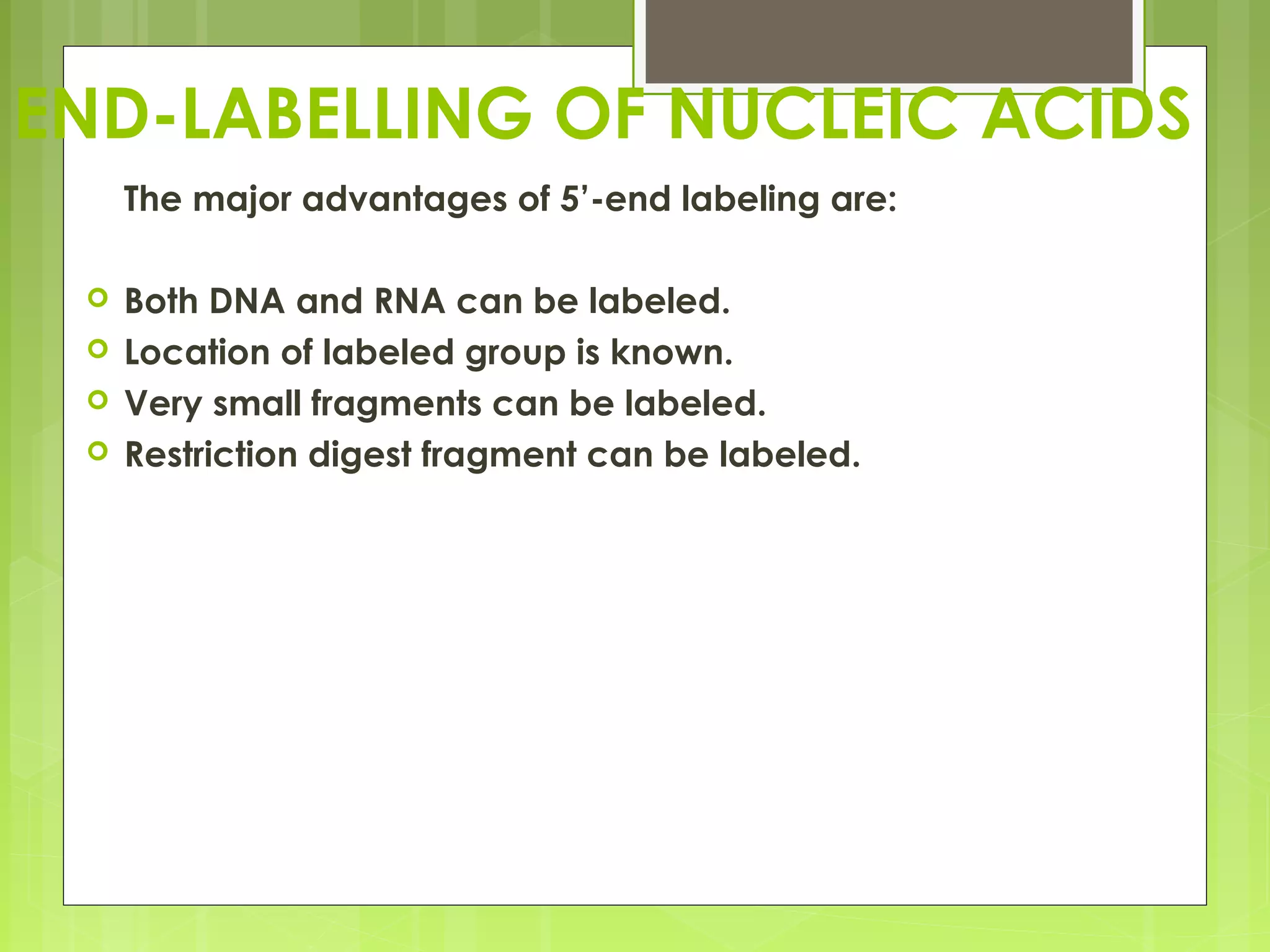 Probe labeling | PPT