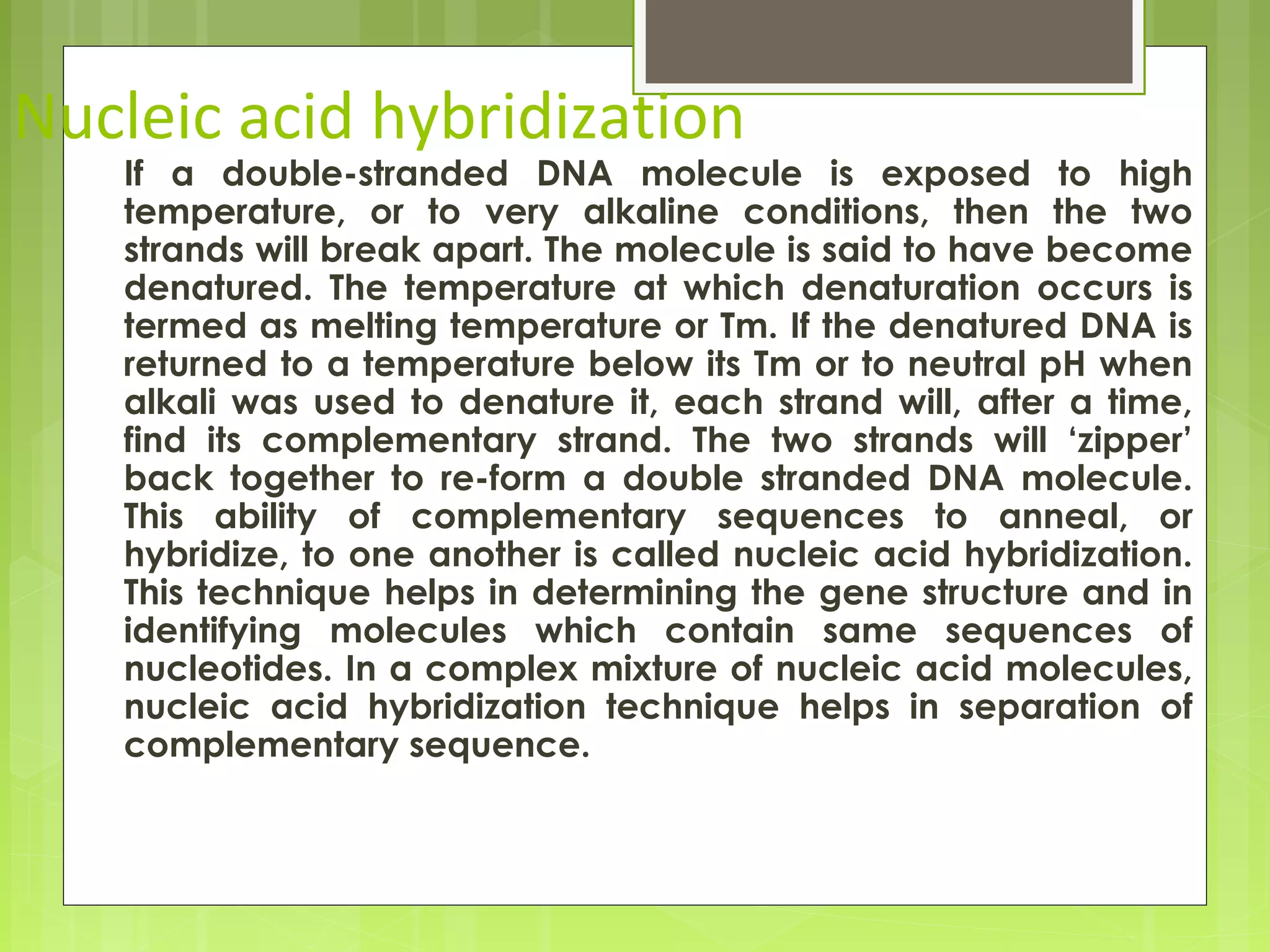 Probe labeling | PPT