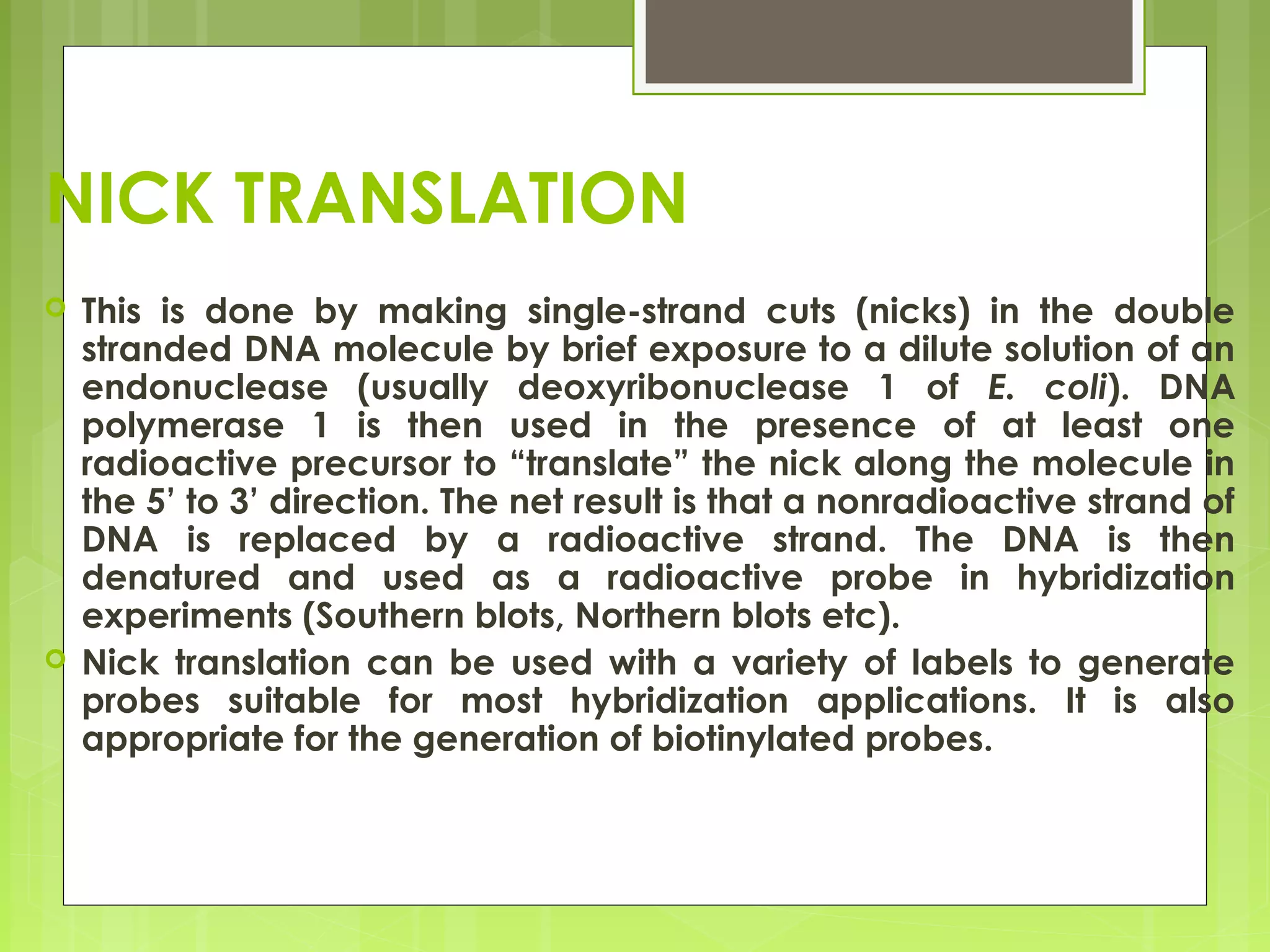 Probe labeling | PPT