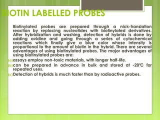 Probe labeling | PPT