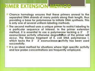 Probe labeling | PPT