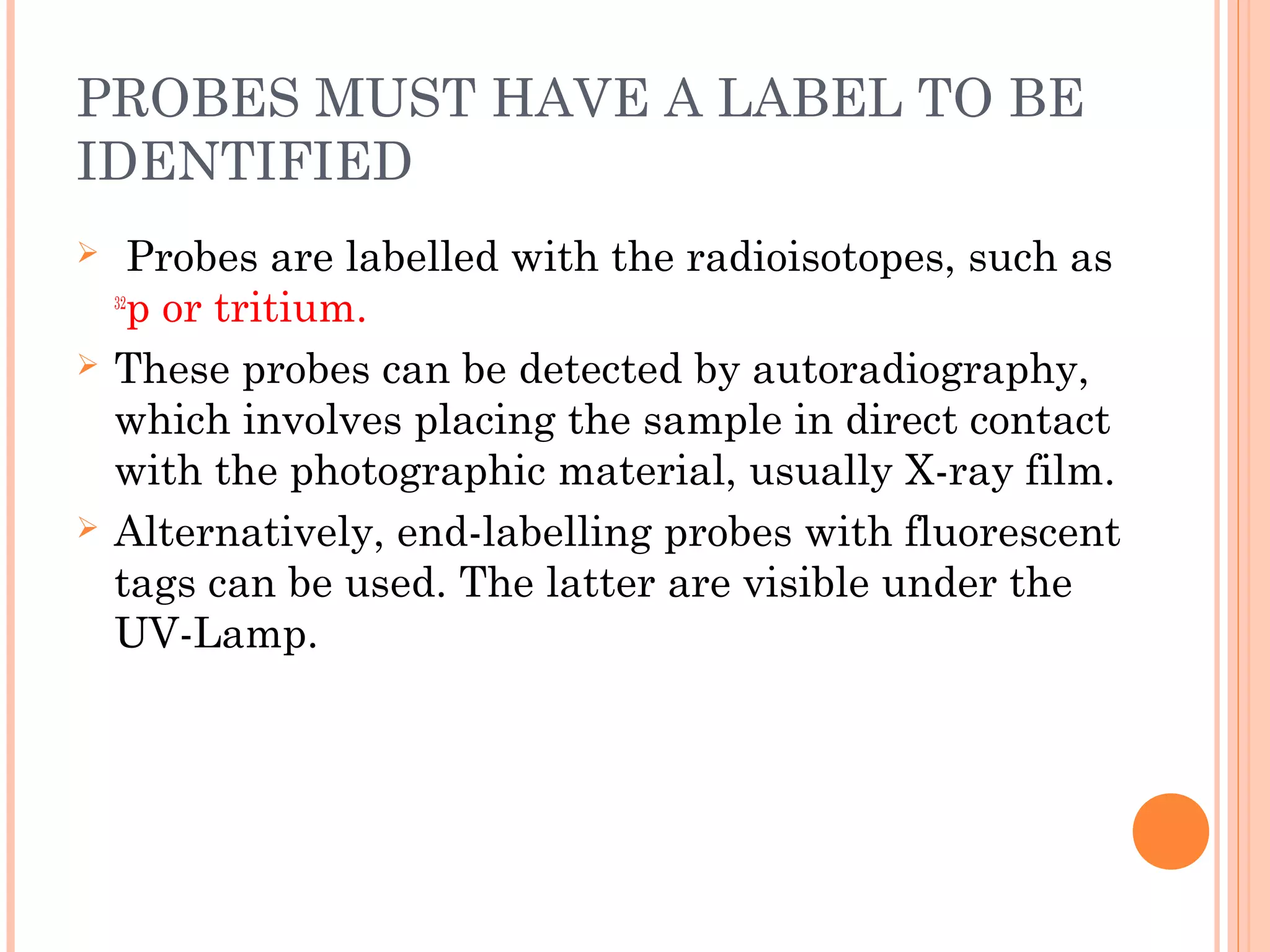 Probe labelling | PPT