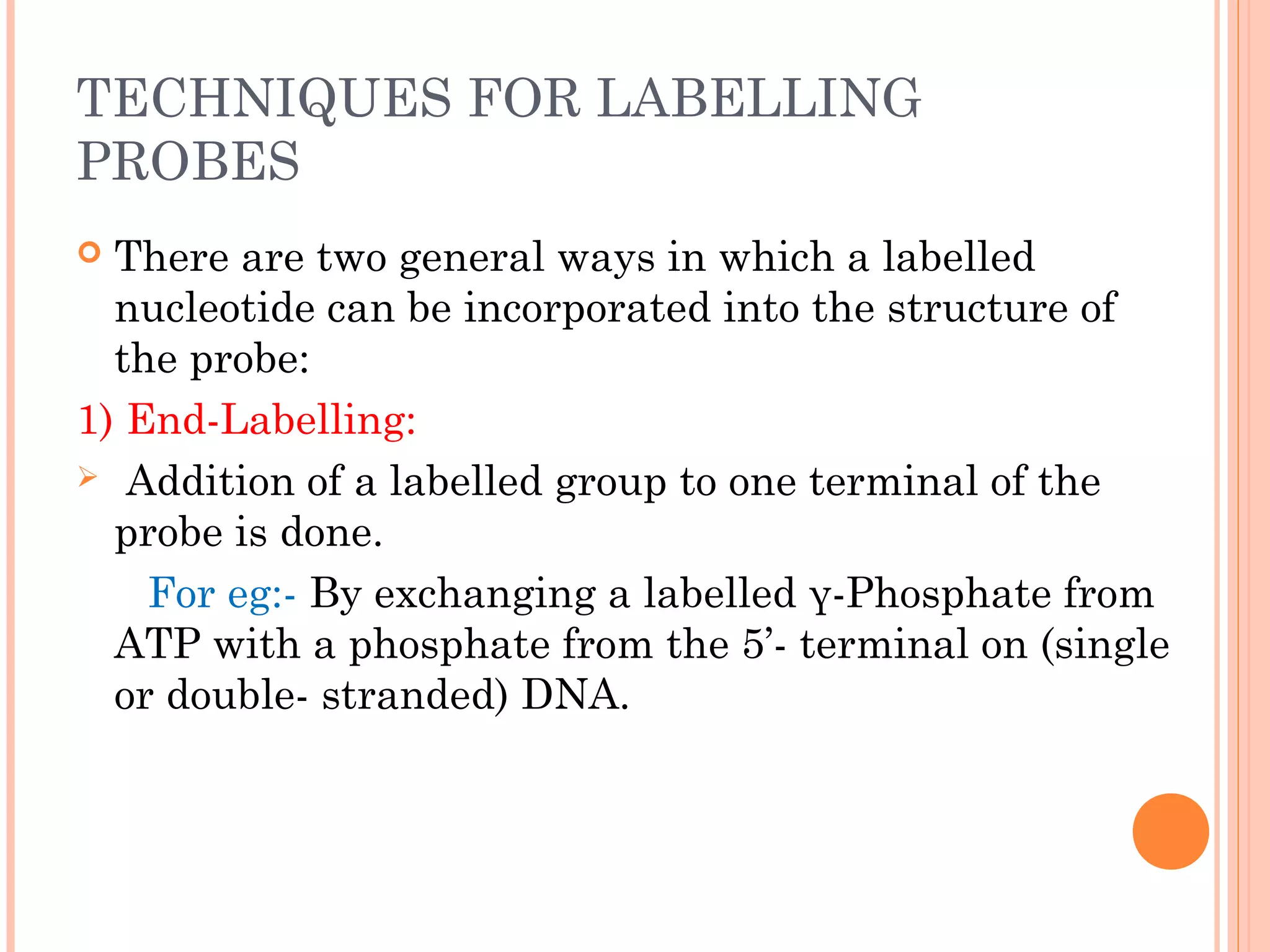 Probe labelling | PPT