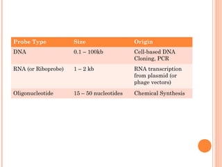 Probe labelling | PPT