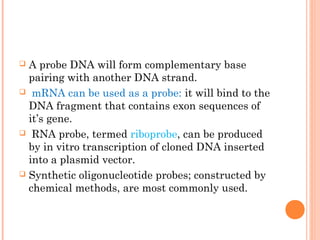 Probe labelling | PPT