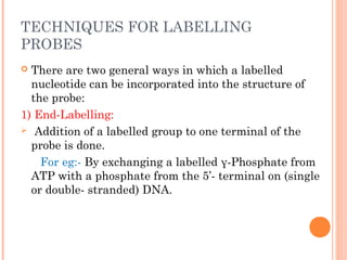 Probe labelling | PPT