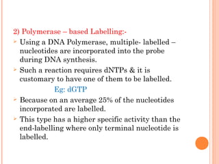 Probe labelling | PPT
