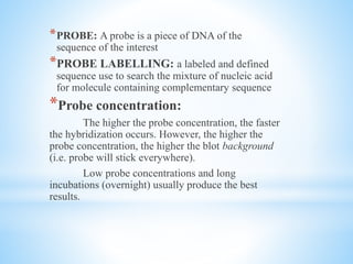 Probe labelling and hybridization | PPTX | Chemistry | Science