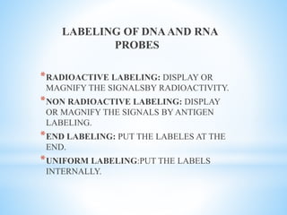 Probe labelling and hybridization | PPTX
