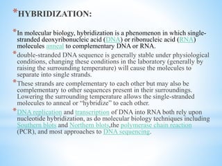 Probe labelling and hybridization | PPTX