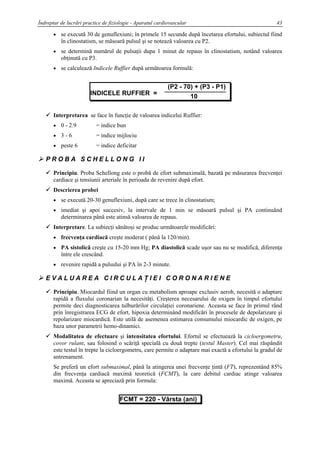 Probele de efort | PDF