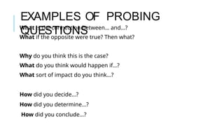 PROBING QUESTIONS AND RAISING QUERIES.pptx