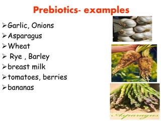 Probiotic and Prebiotic | PPTX